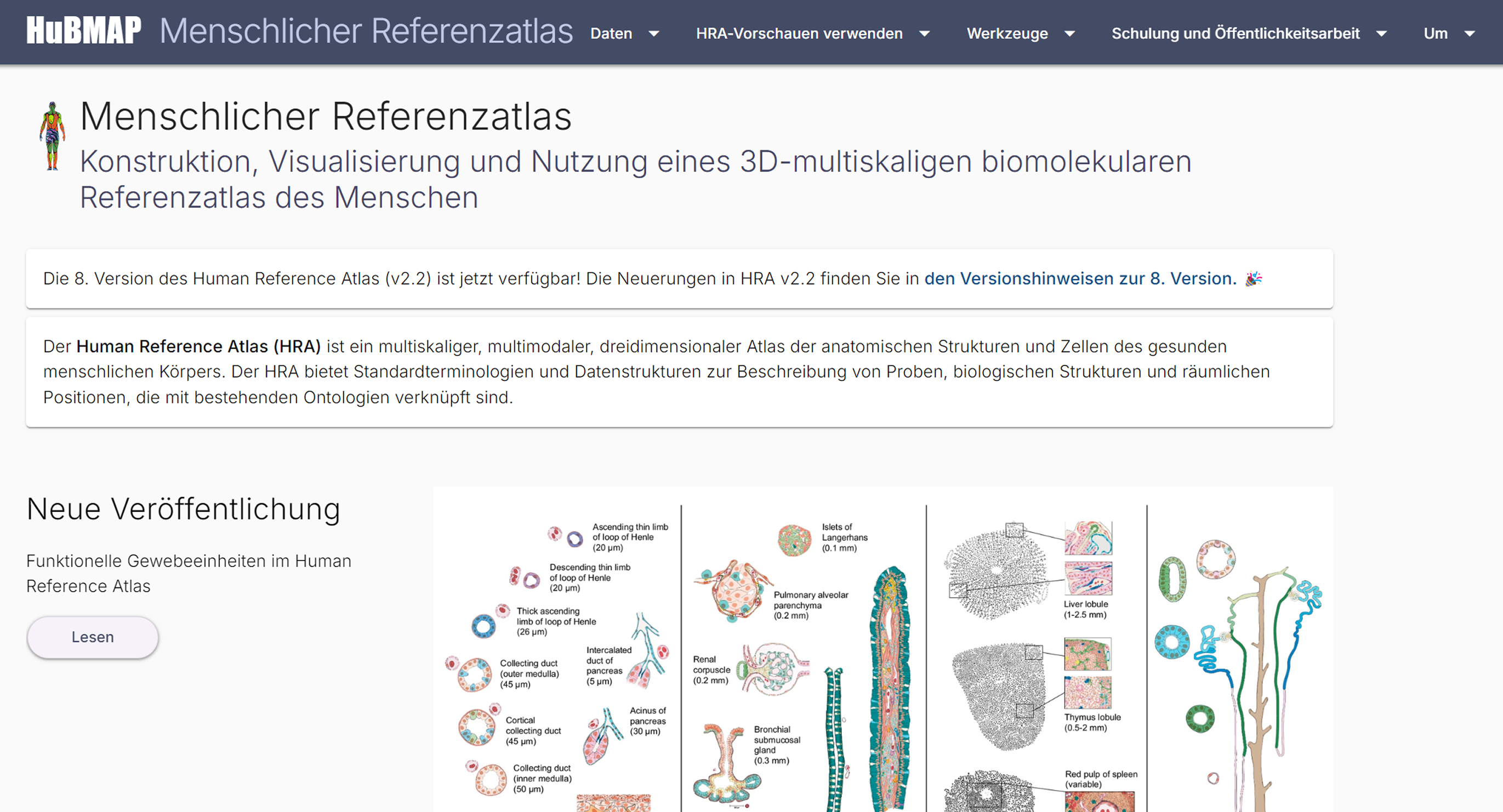 Human Reference Atlas Portal