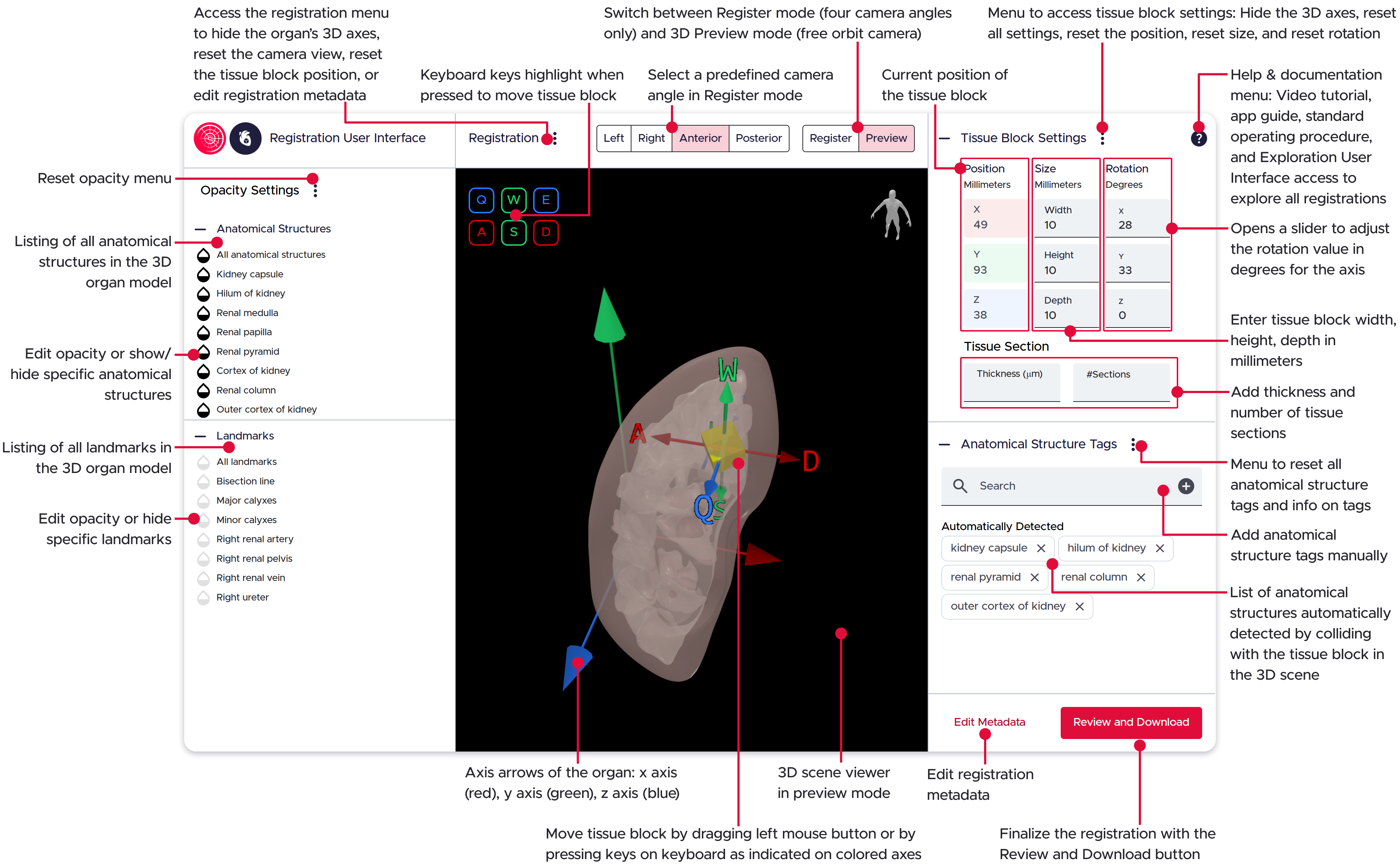 Human Reference Atlas Portal